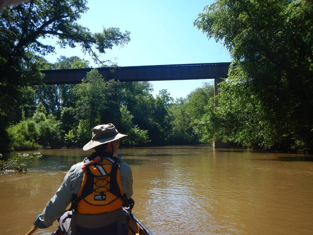 Dodging the trees, or a Day trip on the Enoree River, SC - Paddlers ...