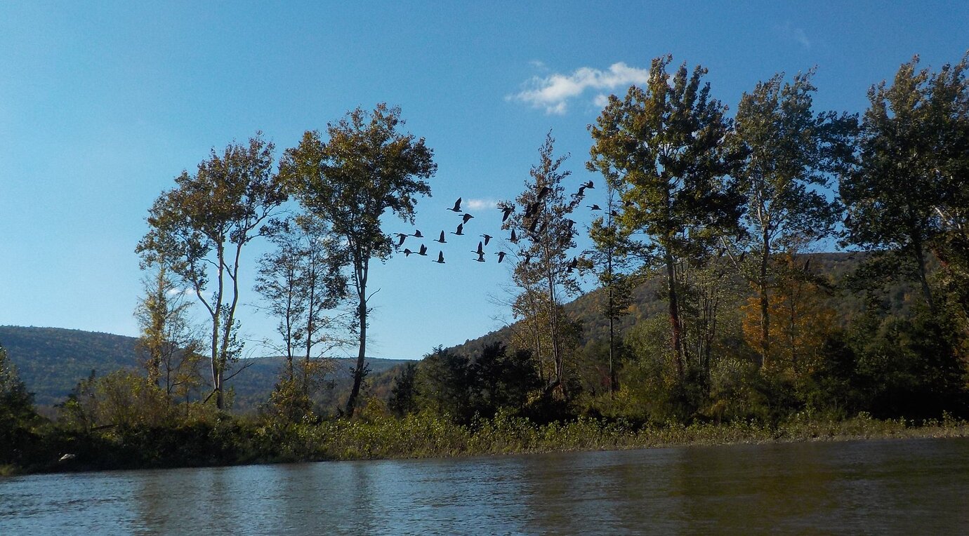 Bird banger/screamers - Paddlers' Place - Paddling.com