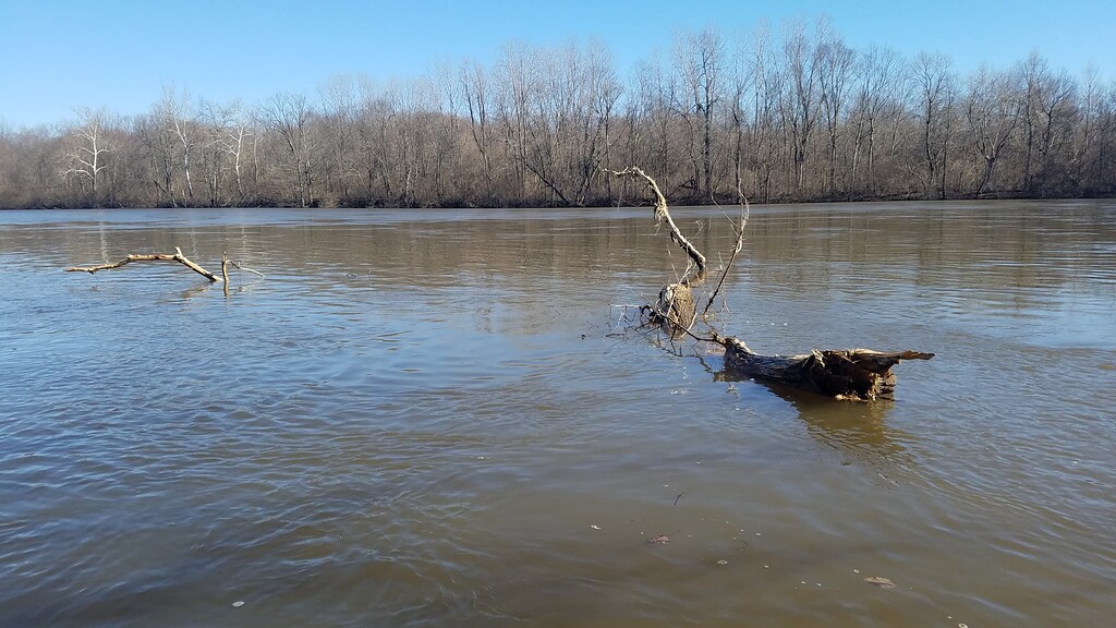 Another close encounter with a tree - Paddlers' Place - Paddling.com